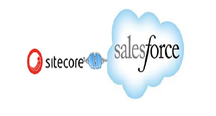 Integrating Sitecore with Salesforce is FUN – Sitecore Competencies